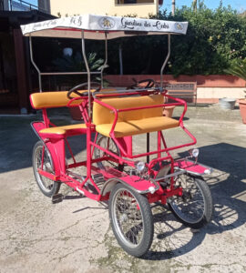 Rickshaw rental for an alternative experience - Giardino dei Cedri